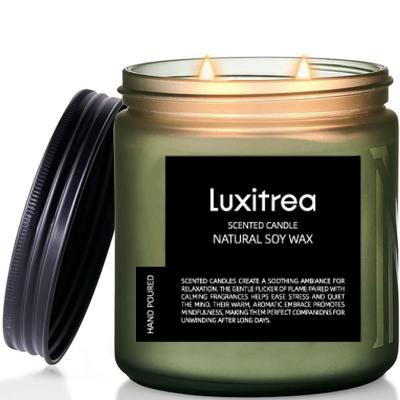 China 11oz 2 Wick Highly Scented Soy Candles 70H Burn Time Humble Swamp‌ Mood Boosting Aromatherapy‌ for sale