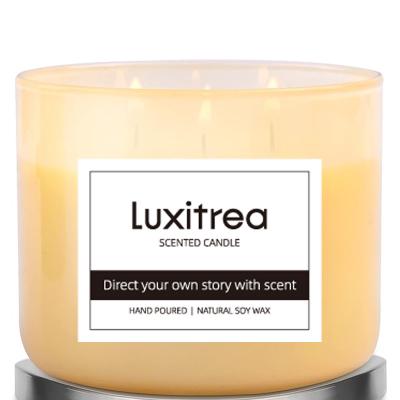 China Luxitrea Candle   Mango and Peach 3 Wicks Scented Candle  10 oz Private Label Candle for sale