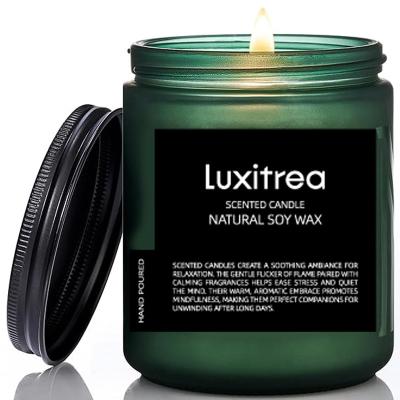 China Luxitrea Fresh Fruit Aroma Grapefruit Scented Candle 50 Hours 7oz Non Toxic for sale