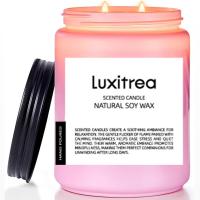Quality 14oz Scented Soy Wax Candle Decoration Romantic Atmosphere Clove 2 Wick Candles for sale