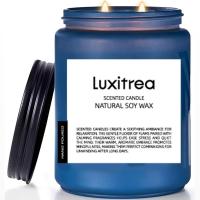 Quality 19 Oz Scented Soy Wax Candle Paddywax Blue Citrus And Basil Scented Candle 2 for sale