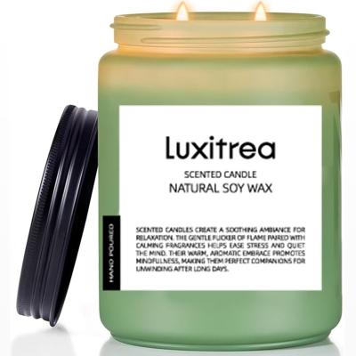 China Blueberry Lavender Custom Scented Candles 19 Oz 2 Wick 110 Hours Long Lasting for sale