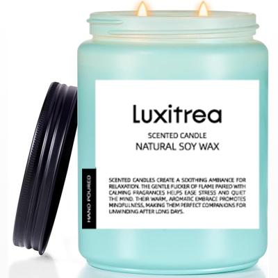China 19 Oz Lemon Coconut Candle 2 Wick 110 Hours Biodegradable for Relaxation for sale