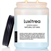 Quality 19 Oz Blue Moon Candles 2 Wick ‌Apothecary Style 110 Hours Long Lasting For for sale