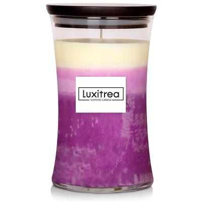 China Consistent Burn Crackling Wick Candle 21oz Paddywax Wisteria Scented Candle for sale