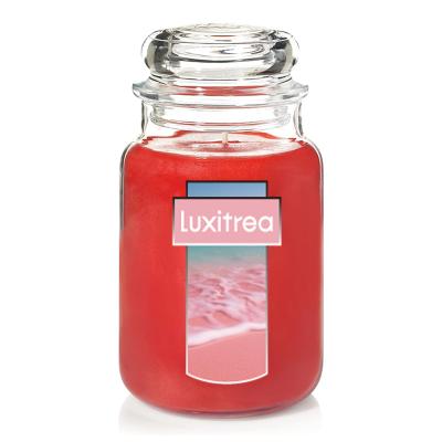 China Luxitrea Candle  Bottled Up Scented Candles  The aroma of Coffee and Tobacco  Ginger Citrus   Juniper   80 HoursLong Burning Time 20 oz for sale