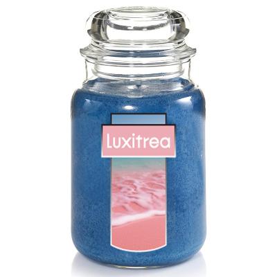 China Luxitrea Candle  Bottled Up Scented Candles  The aroma of Floral Notes   Rose  Lavender  80 HoursLong Burning Time  20 oz for sale