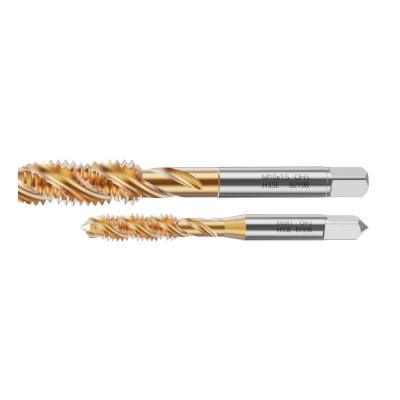 China DIN-SFT German Standard General Spiral Flute Tap for sale
