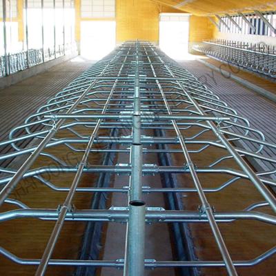 Cina Granaio libero galvanizzato della stalla del tubo in vendita