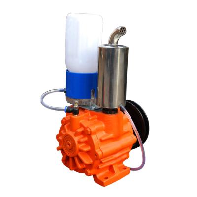 Cina portatile pompa aspirante manuale dell'aria da 220 l/min per il gas di scarico in vendita