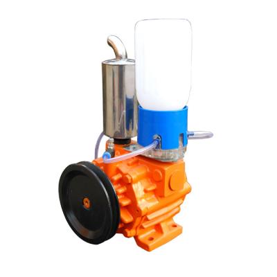 Cina portatile pompa aspirante manuale dell'aria da 220 l/min per il gas di scarico in vendita