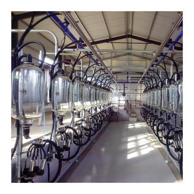 China Glass Jar Herringbone Type Cow Milking Parlour Automatic Milking System for sale