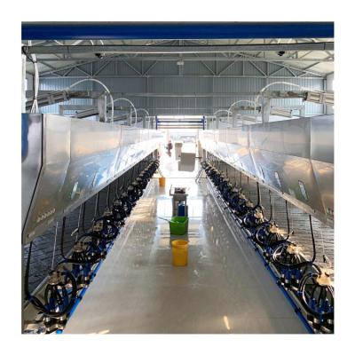 Cina Digital che misura il tipo con un contatore della spina di pesce della sala di mungitura dell'unità 220v 10 in vendita