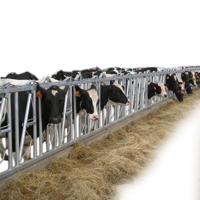Cina Attrezzatura delle attrezzature agricole di 20 degli insiemi delle attrezzature agricole prese di testa della mucca da latte in vendita
