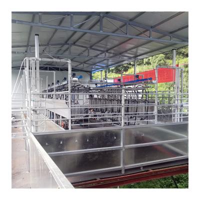 Cina Pecore 100 punti della spina di pesce del sistema di mungitura automatico della sala di mungitura in vendita