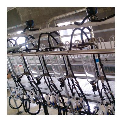 Cina Pecore 100 punti della spina di pesce del sistema di mungitura automatico della sala di mungitura in vendita