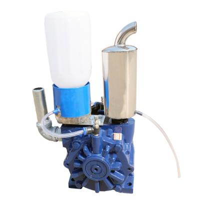 Cina pala rotatoria ad alta pressione dell'olio di pulsometro di 1.1kw 1440rpm in vendita