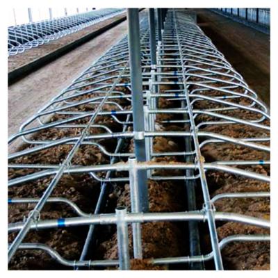 Cina Singolo tipo animale tubo galvanizzato libero della immersione calda del granaio della stalla in vendita