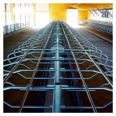 Cina granaio libero della stalla di 200cm galvanizzato rotondo la metropolitana ed il tubo di Stell per la mucca in vendita