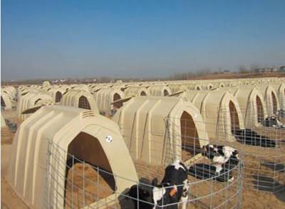 Cina I ripari del vitello della plastica di polietilene dell'azienda lattiera intimoriscono il cottage sparso in vendita
