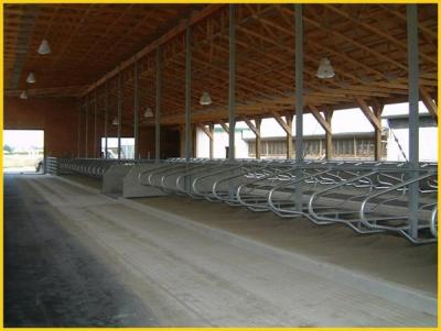 Cina Il tipo testa a testa 1.30m/cow recinta Cattle Free Stall di misura adattabile in vendita
