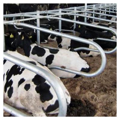 Cina Il doppio libero di colore del nastro del granaio della stalla della mucca di lunghezza 2.3m ha parteggiato in vendita