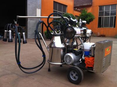中国 ガソリン機関を搭載する携帯用食品等級SS移動式搾り出す機械 販売のため