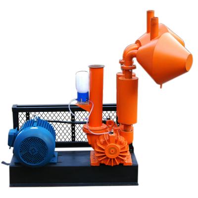Cina AC110V Vane Vacuum Pump rotatoria in vendita