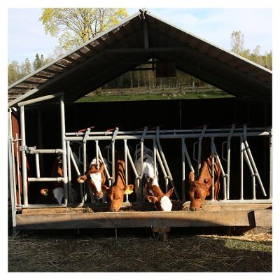 Cina serratura capa della mucca 1.2m/Cow in vendita