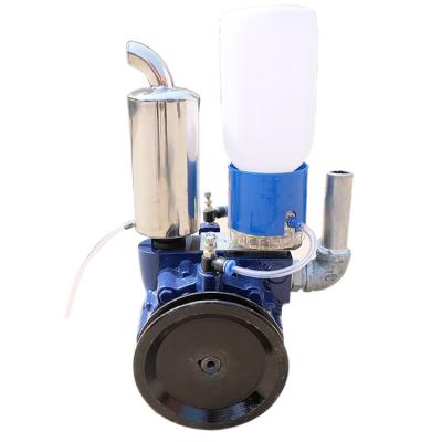 Cina 220V Vane Vacuum Pump rotatoria in vendita