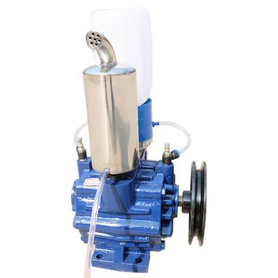 Cina 220V Vane Vacuum Pump rotatoria in vendita
