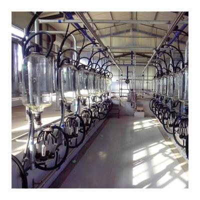 Cina Tipo elettronico dell'osso di pesce della sala di mungitura della capra 2300L/min in vendita