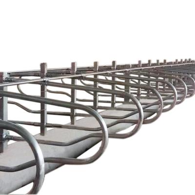 Cina Stalle libere galvanizzate del tubo di acciaio inossidabile per singolo stile di fila delle mucche in vendita