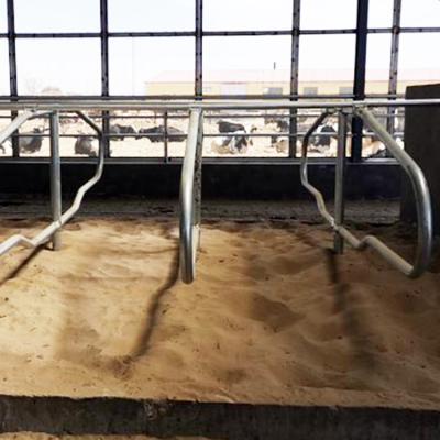 Cina Stalle libere galvanizzate del tubo di acciaio inossidabile per singolo stile di fila delle mucche in vendita