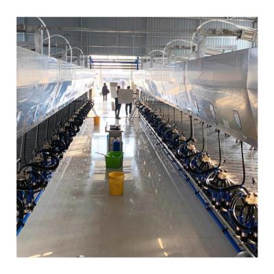 China Sala di mungitura automatica della grande della spina di pesce latteria elettrica di  per le mucche for sale