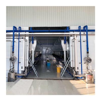 Cina Sala di mungitura automatica della grande della spina di pesce latteria elettrica di  per le mucche in vendita