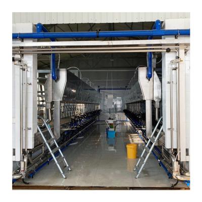 Cina Macchina automatica elettronica della mucca della sala di mungitura della spina di pesce di metrologia in vendita