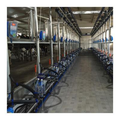 Cina Struttura galvanizzata automatica della immersione calda della sala di mungitura della spina di pesce della mucca da latte in vendita