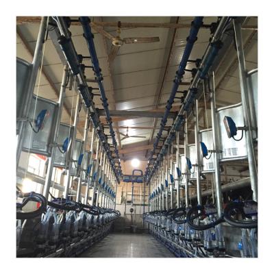 Cina Struttura galvanizzata automatica della immersione calda della sala di mungitura della spina di pesce della mucca da latte in vendita