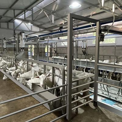 Cina Sala di mungitura dell'alta di produttività della latteria delle aziende agricole della sala di mungitura capra flessibile dell'attrezzatura in vendita