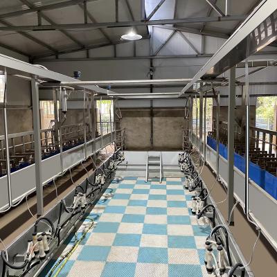 China Attrezzatura di stato della sala di mungitura della capra delle pecore del contatore elettrico di Digital nuova for sale