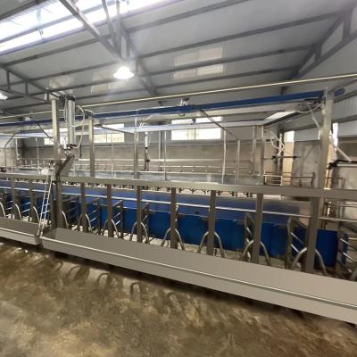 Cina Attrezzatura di stato della sala di mungitura della capra delle pecore del contatore elettrico di Digital nuova in vendita