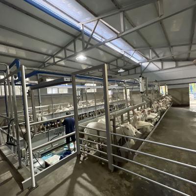Cina Attrezzatura di stato della sala di mungitura della capra delle pecore del contatore elettrico di Digital nuova in vendita