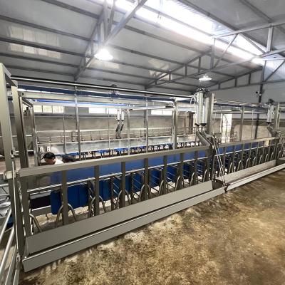 Cina Attrezzatura di stato della sala di mungitura della capra delle pecore del contatore elettrico di Digital nuova in vendita