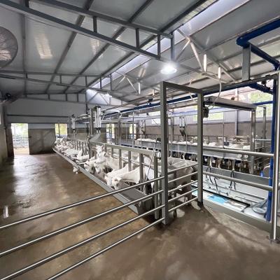 Cina Attrezzatura di stato della sala di mungitura della capra delle pecore del contatore elettrico di Digital nuova in vendita
