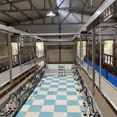 Cina Depressione di alimentazione della sala di mungitura della spina di pesce della capra SUS304 tipo rapido conduttura dell'uscita in vendita