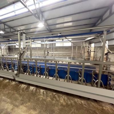Cina Depressione di alimentazione della sala di mungitura della spina di pesce della capra SUS304 tipo rapido conduttura dell'uscita in vendita
