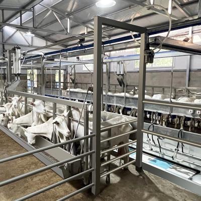 Cina Depressione di alimentazione della sala di mungitura della spina di pesce della capra SUS304 tipo rapido conduttura dell'uscita in vendita