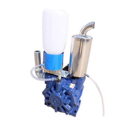 Cina ghisa di velocità di pompaggio 220L Vane Vacuum Pump Milking Machine rotatoria in vendita