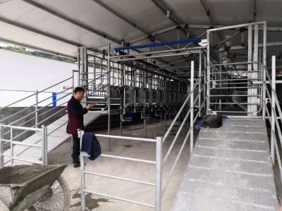 Cina Sala di mungitura della capra SS304 che munge l'attrezzatura della capra della latteria dei sistemi in vendita